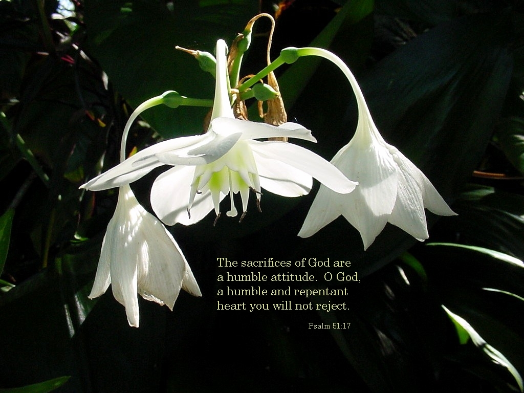 Psalm 51 17 The Sacrifices Of God Are A Broken Spirit A Broken And A Psalm 51 17 The Sacrifices Of God Are A Broken Spirit A Broken And A